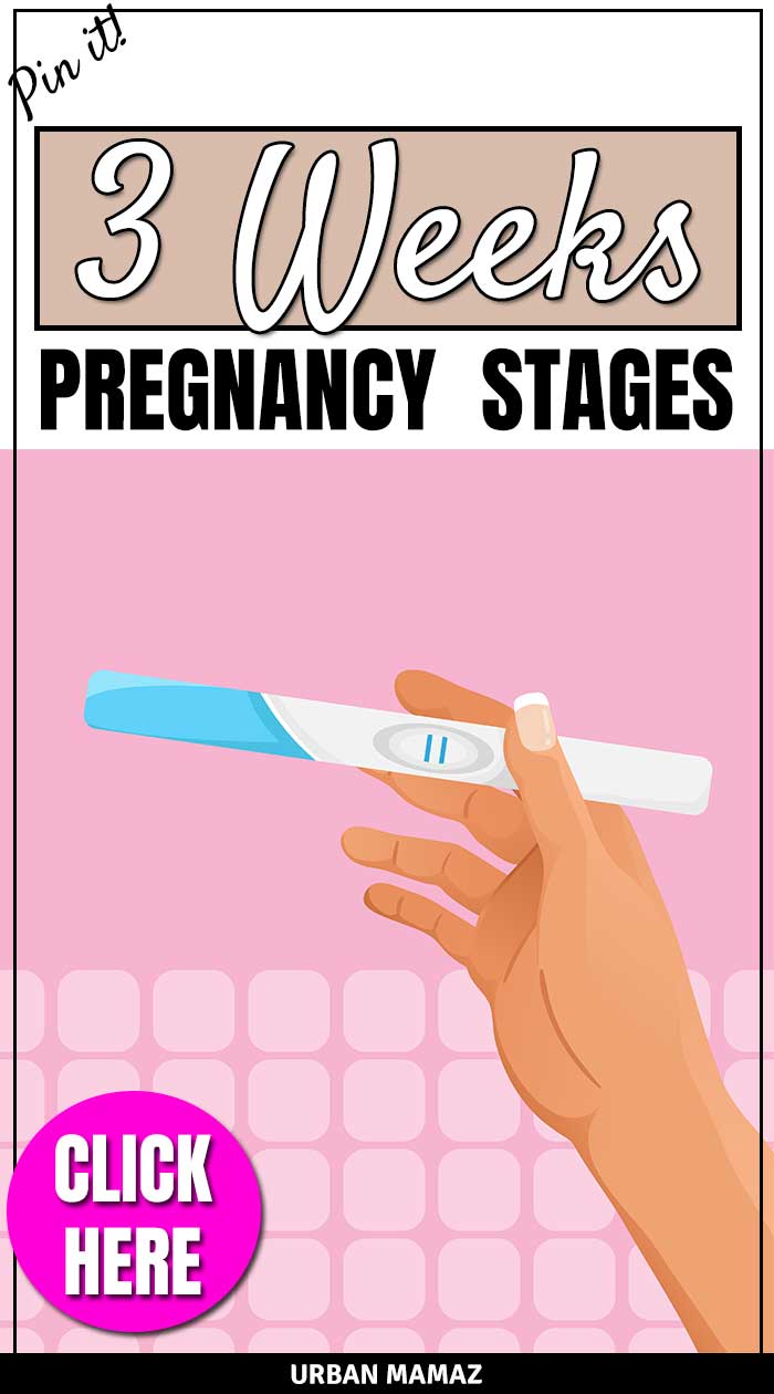 3 Weeks Pregnant - Urban Mamaz