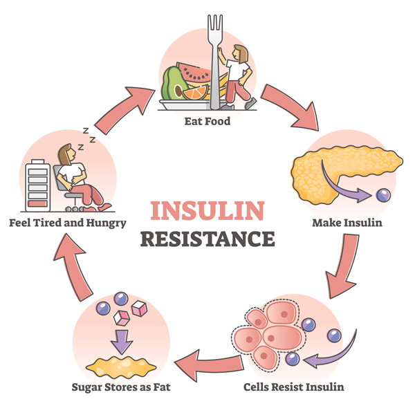 Diet Plan For Insulin Resistance 2023 Diet Plan For Insulin Resistance 2023